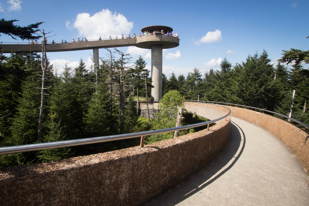 Top 4 Things to Know About Visiting Clingmans Dome During Your Vacation ...